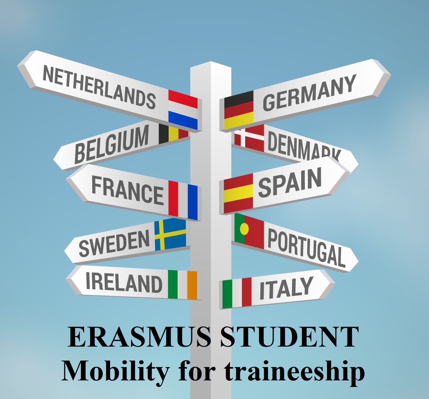 Incoming Mobility - Dipartimento di Scienze Veterinarie