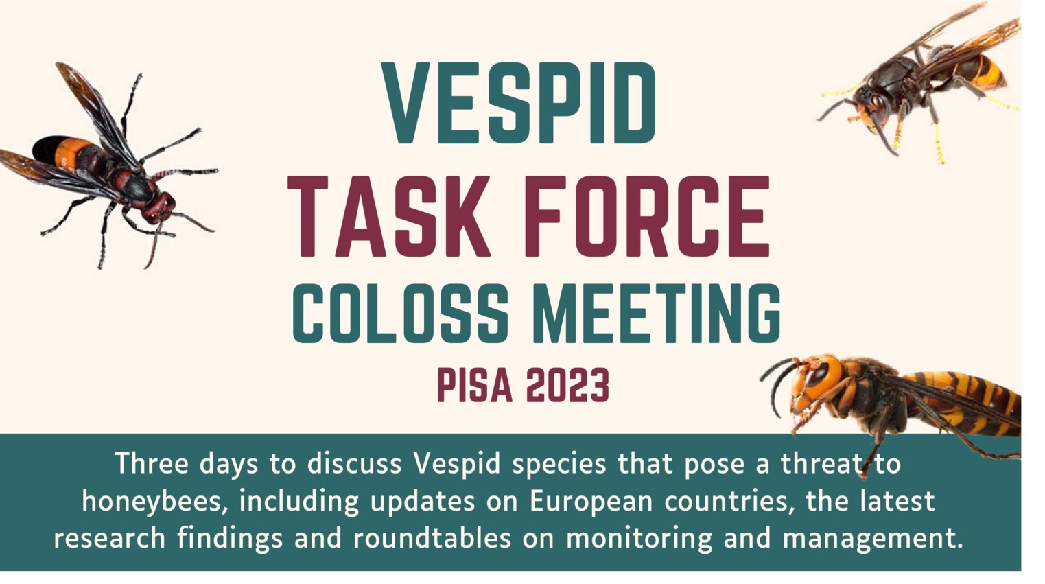 Vespid task Force COLOSS Meeting - Dipartimento di Scienze Veterinarie